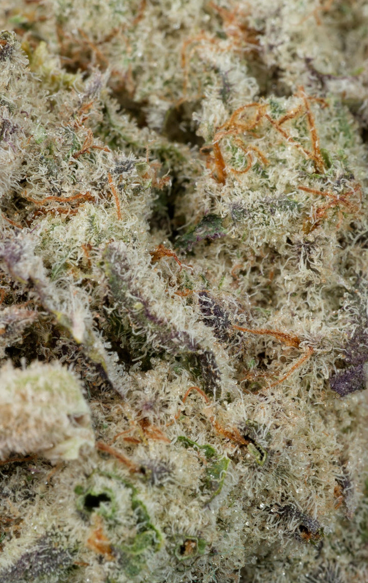 Southern Harvest Hemp